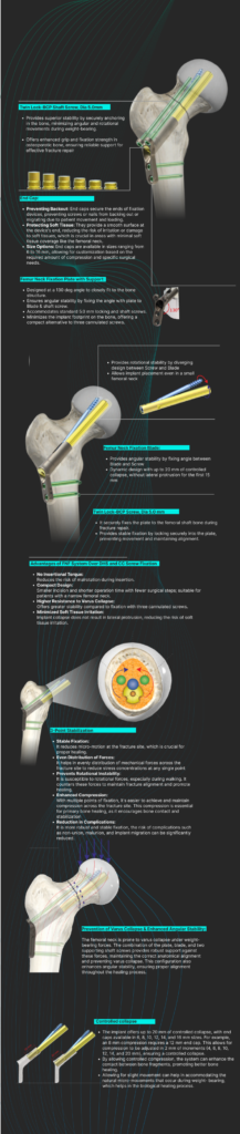 Femur Neck Fixation - Sorath Ortho